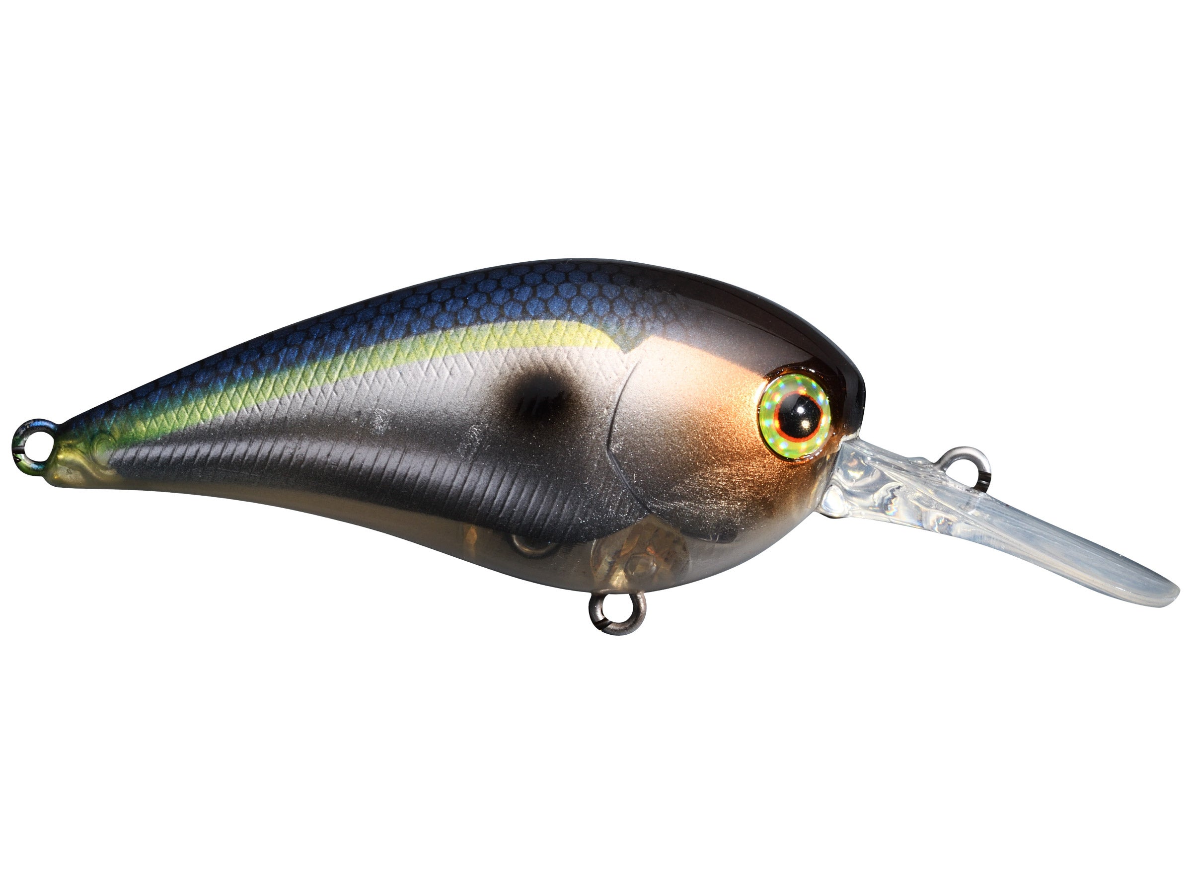 Jackall MC60 MR Medium Diving Crankbait 2 1/2 inch Bass Fishing Hard ...