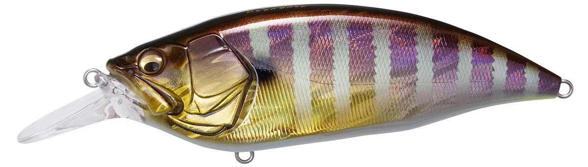 Megabass Big-m 4.0 Flat Side Big Crank Bait 02 Wagin Hasu BM for sale ...