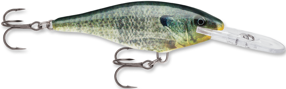 Rapala Shad Rap Size Chart Rapala Shad Rap 07 Fishing Lure - Live ...